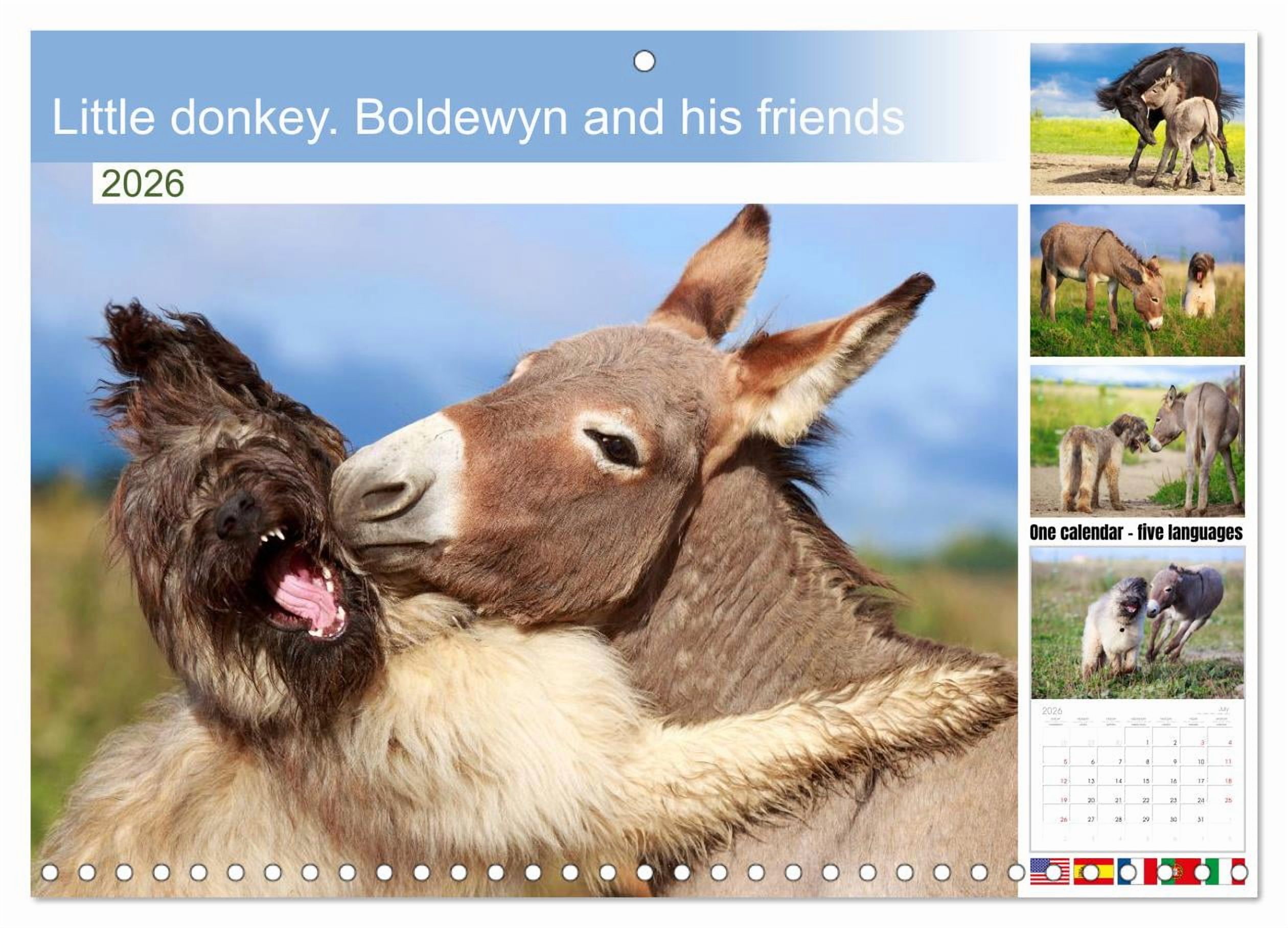 Little donkey. Boldewyn and his friends (Monthly Wall Calendar 2026 11. ...