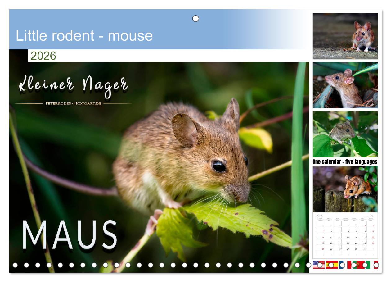Little rodent - mouse (Monthly Wall Calendar 2026 16.5 x 23.4 (open ...