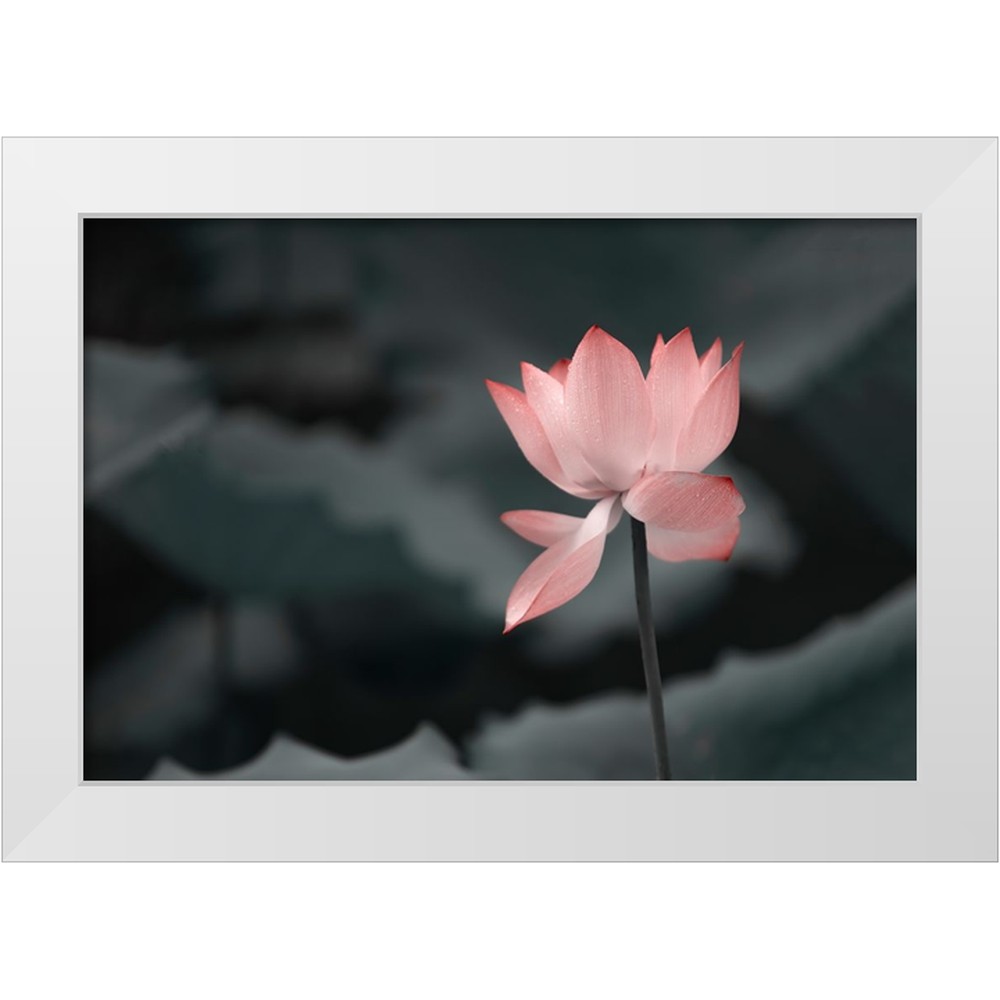 Liu, Betty 18x13 White Modern Wood Framed Museum Art Print Titled ...