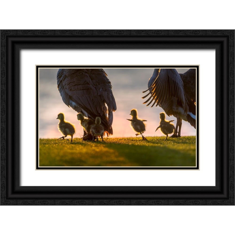 Liu, Dawei 18x13 Black Ornate Wood Framed with Double Matting Museum ...