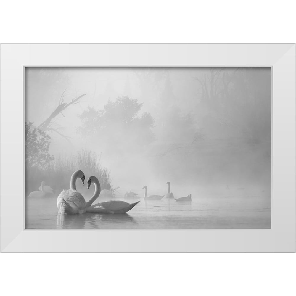 Liu, Dawei 18x13 White Modern Wood Framed Museum Art Print Titled ...