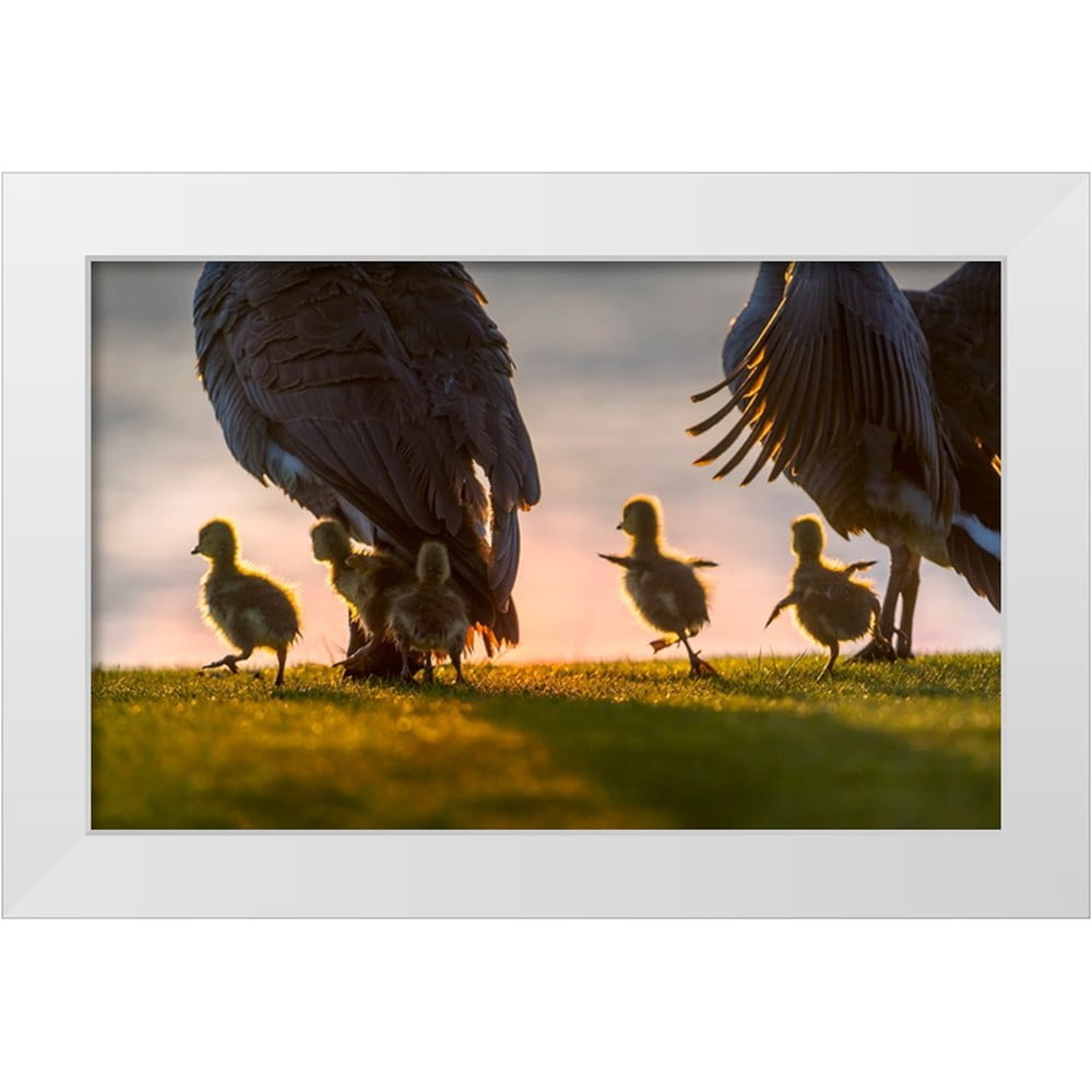 Liu, Dawei 24x17 White Modern Wood Framed Museum Art Print Titled - new ...