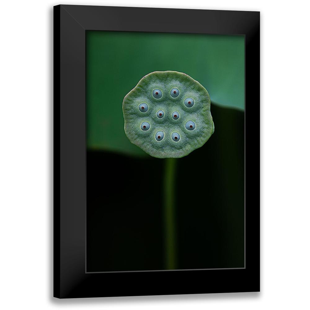 Liu, Yanny 11x14 Black Modern Framed Museum Art Print Titled - A Lotus ...