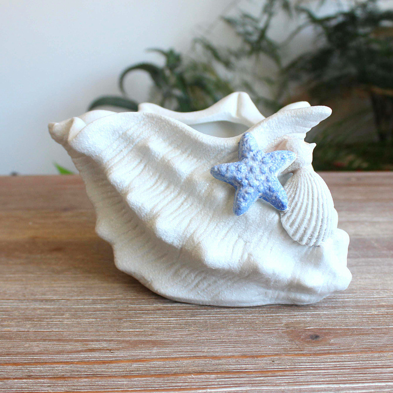 LivNxt Ceramic Conch Succulent Planter - Creative Pot for Succulents ...