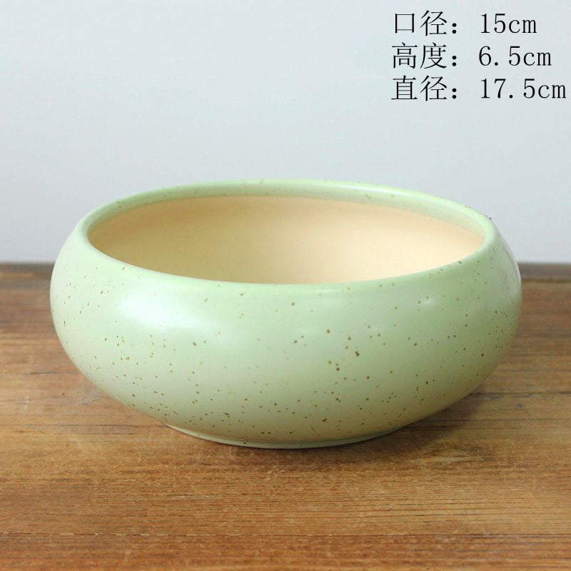 LivNxt Ceramic Succulent Planter - Large Succulent Tray for Tabletop ...