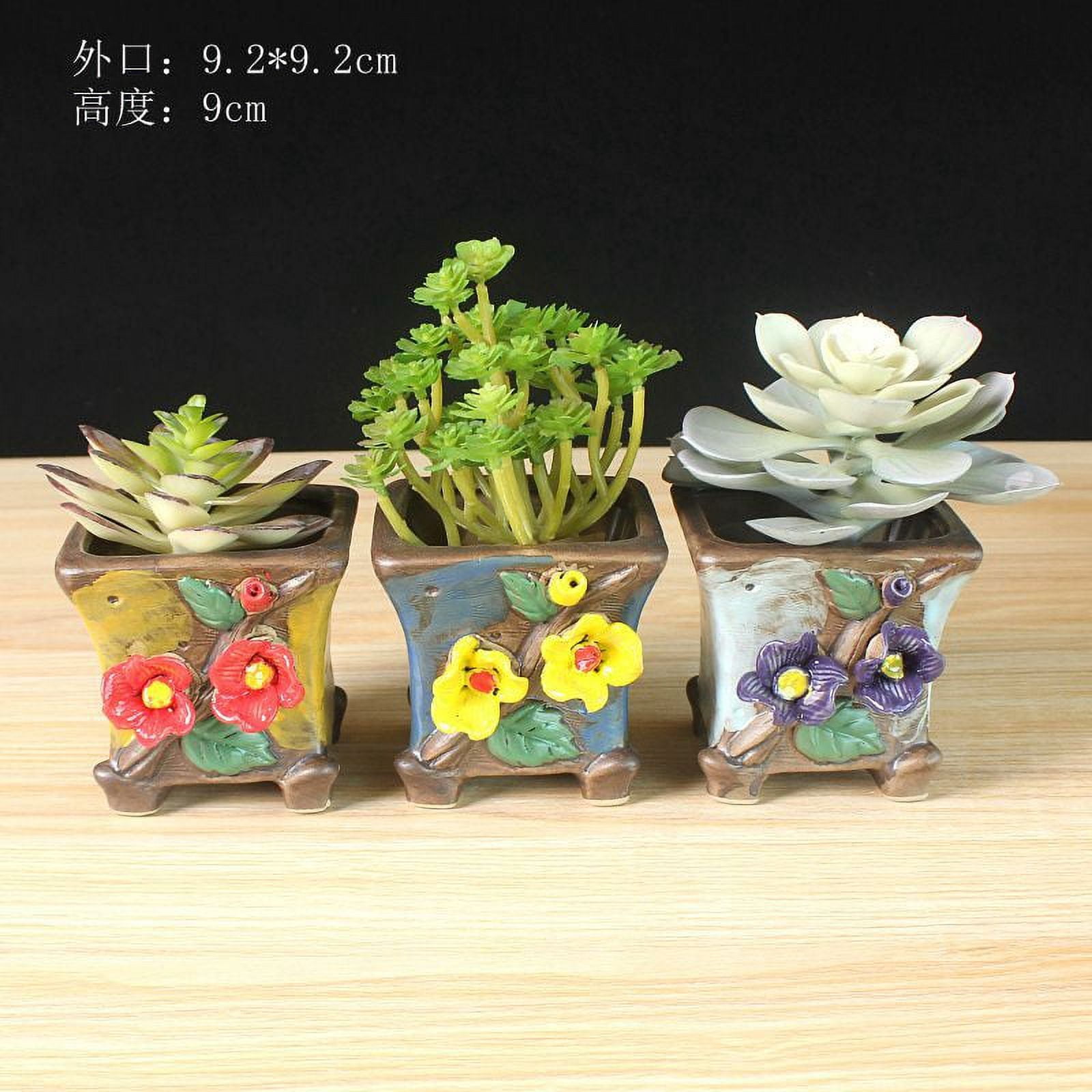 LivNxt Handcrafted Ceramic Succulent Flower Pot for Desktop Planting ...