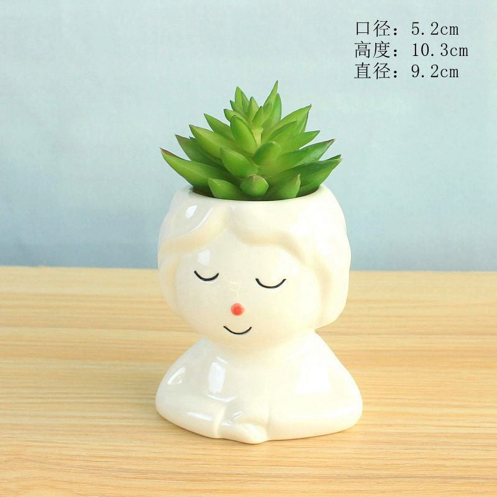 LivNxt Porcelain Doll Succulent Planter, Nordic Style Hand-Painted ...
