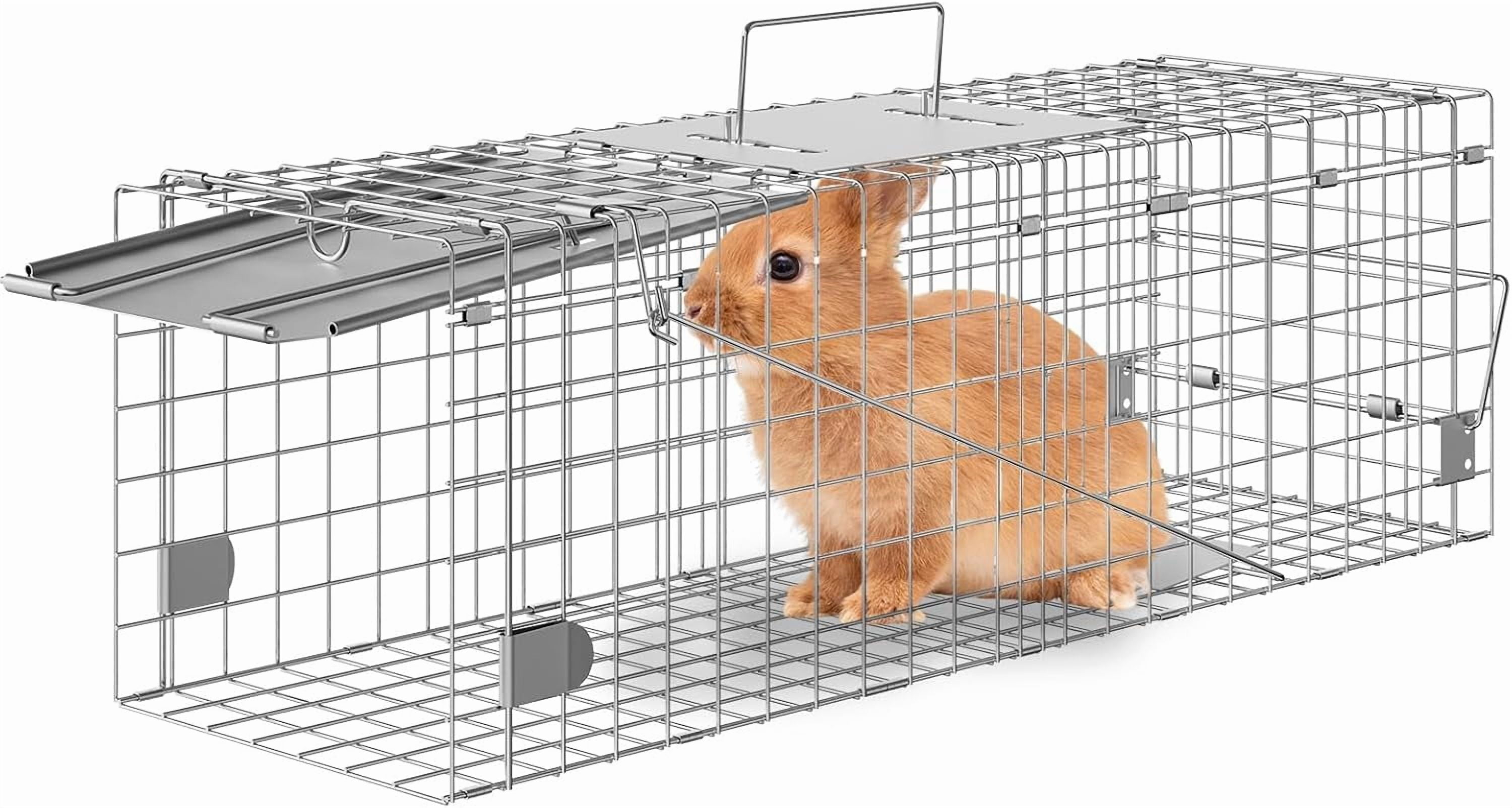 Live Animal Cage, 24" x 8" x 8" Humane Cat Cage Galvanized Iron ...