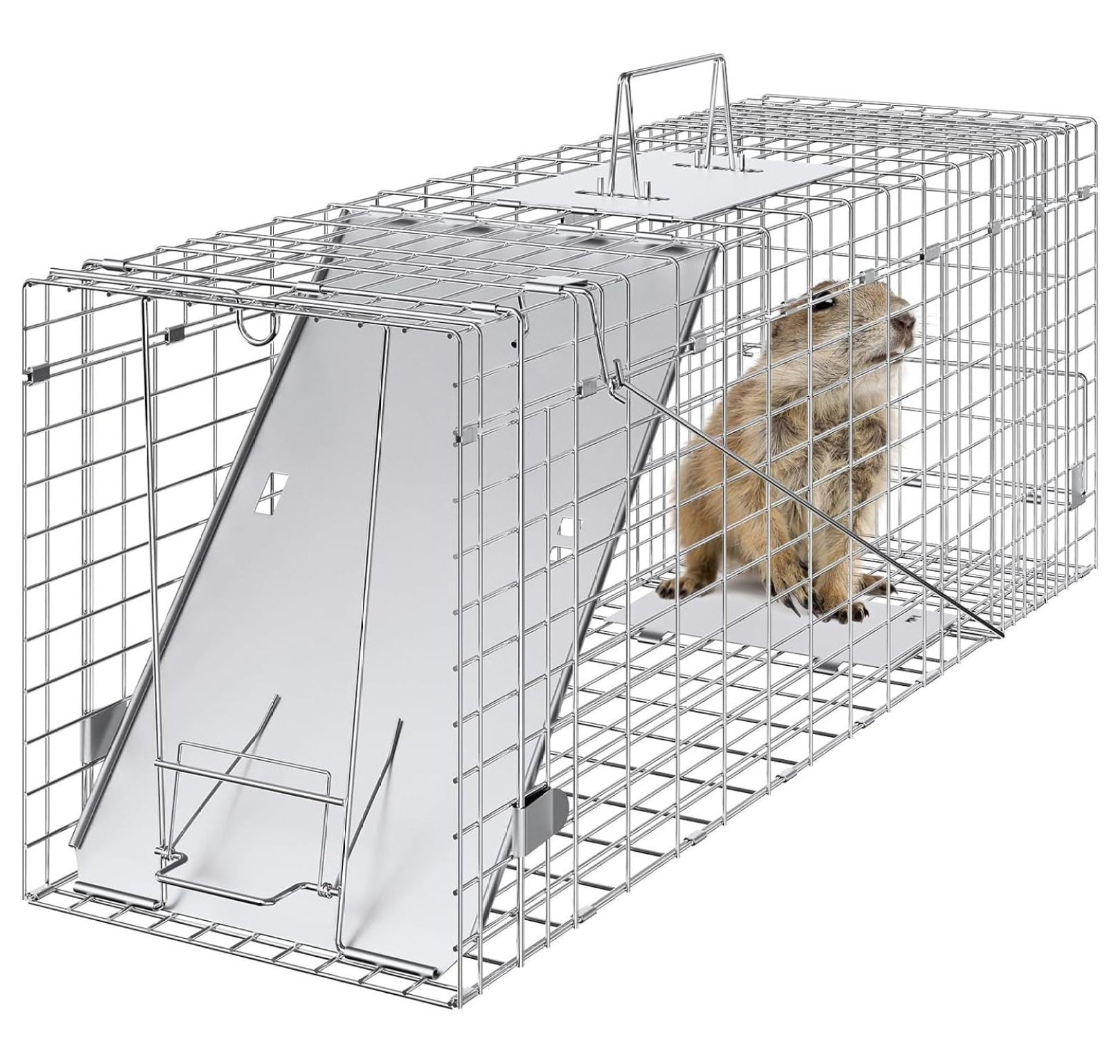 Live Animal Cage Trap, 31" x 10" x 12" Humane Cat Trap Galvanized Iron ...