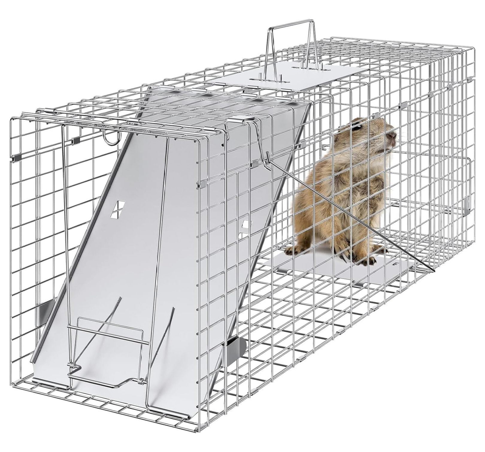 Live Animal Cage Trap, 31" x 10" x 12" Humane Cat Trap Galvanized Iron ...