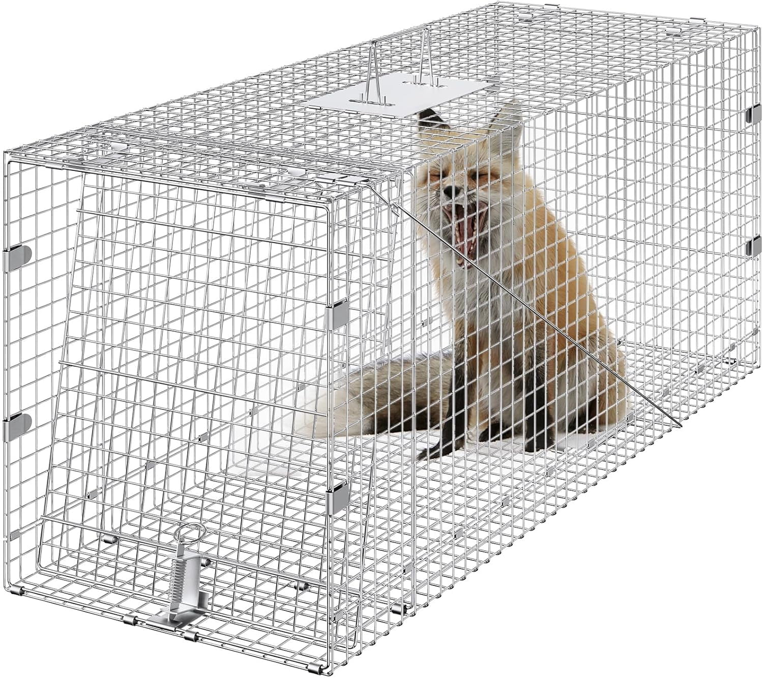 Live Animal Cage Trap, 42" x 16" x 18" Humane Cat Trap Galvanized Iron ...