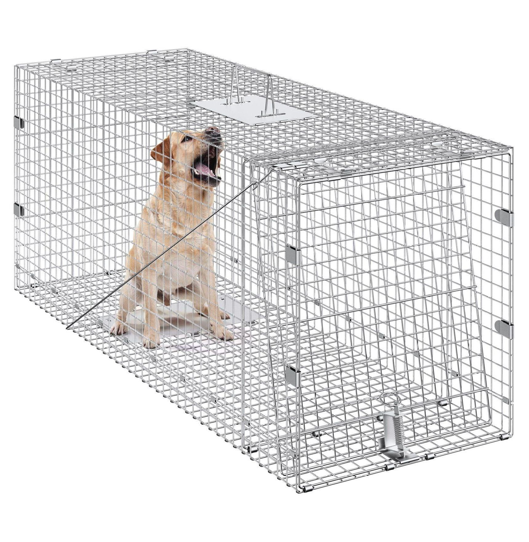 Live Animal Cage Trap, 42" x 16" x 18" Humane Cat Trap Galvanized Iron ...