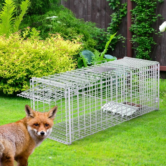 Live Animal Trap Cage Foldable and Humane for Catching Raccoons Foxes ...