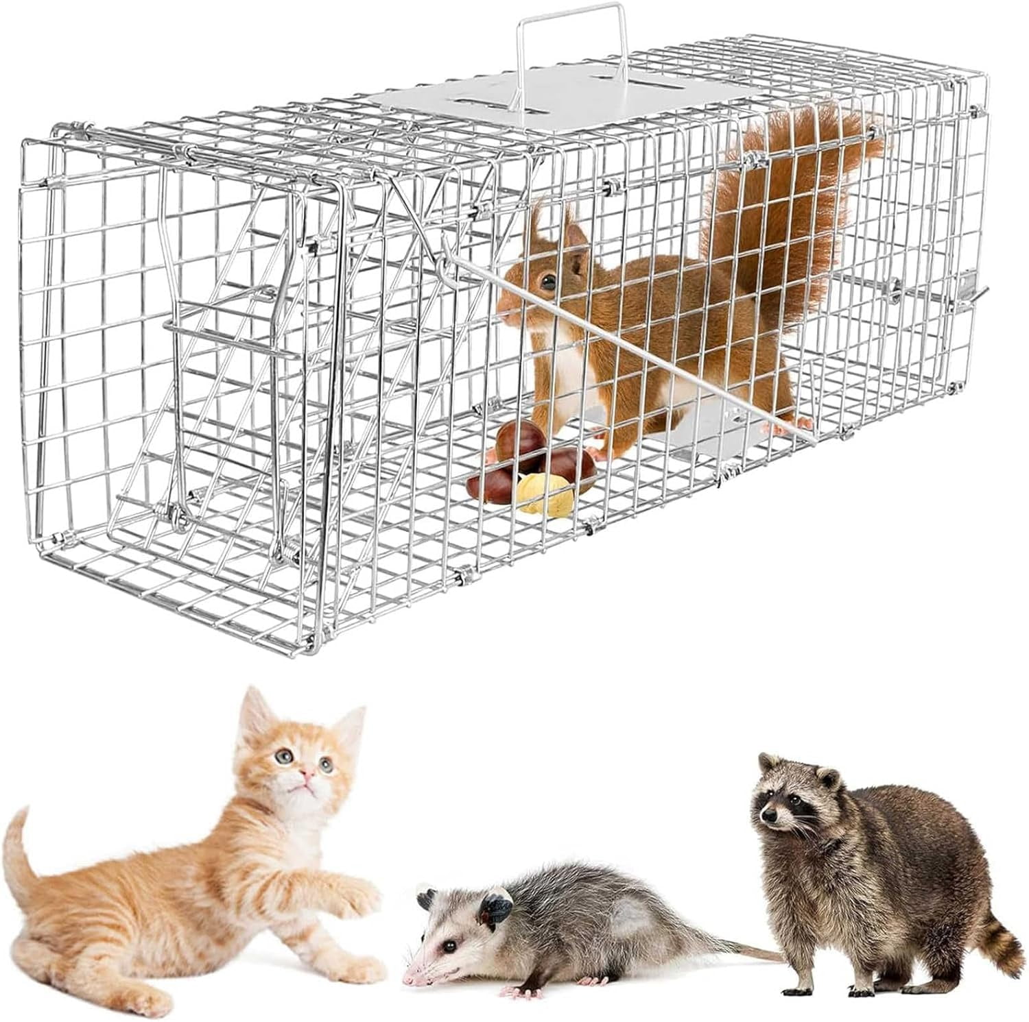 Live Animal Trap Cage, Heavy Duty Folding Humane Catch Release Rodent ...