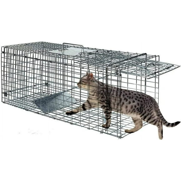 Cat Traps