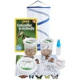 Live Butterfly Growing Complete Kit - includes 10 Live Caterpillars ...