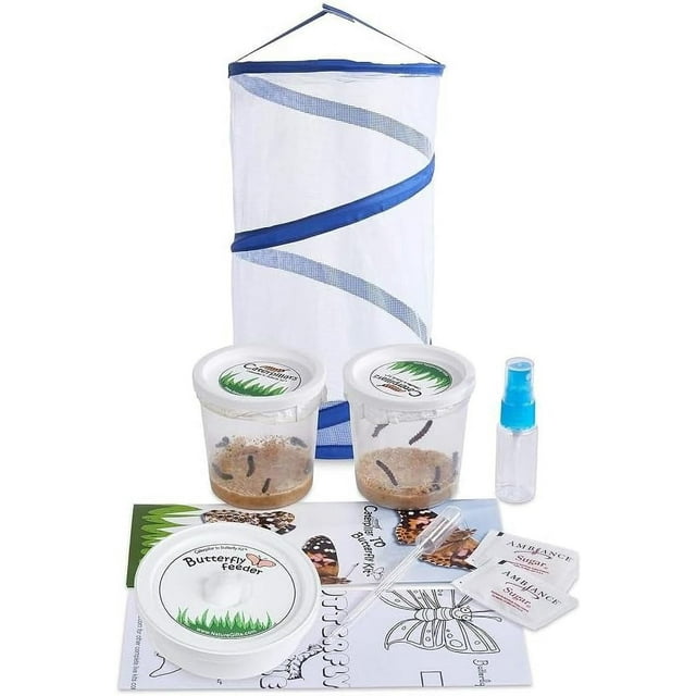 Live Butterfly Growing Complete Kit - Includes 10 Live Caterpillars ...