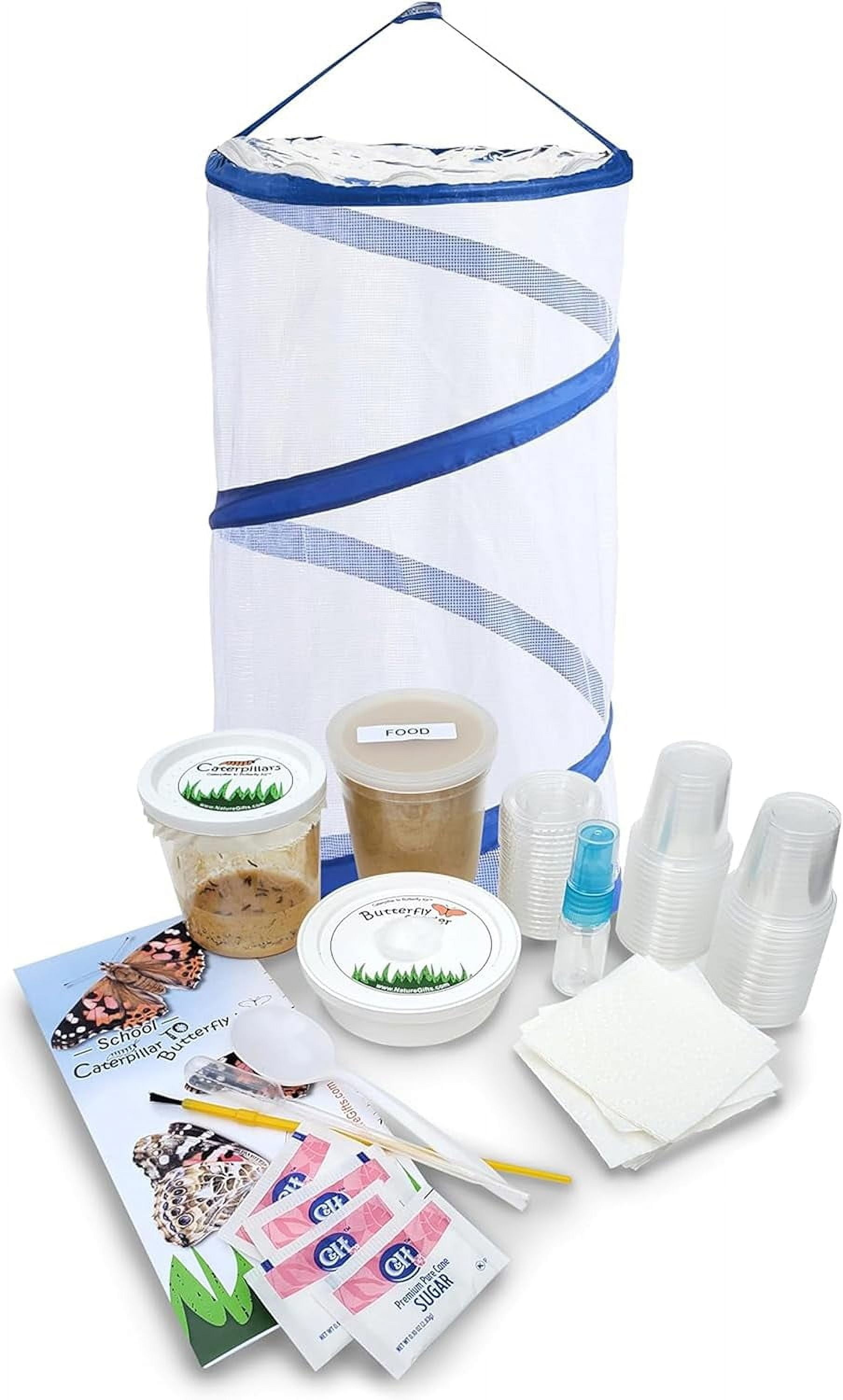 Live Butterfly Kit - School-Sized Educational Experience with 32 ...