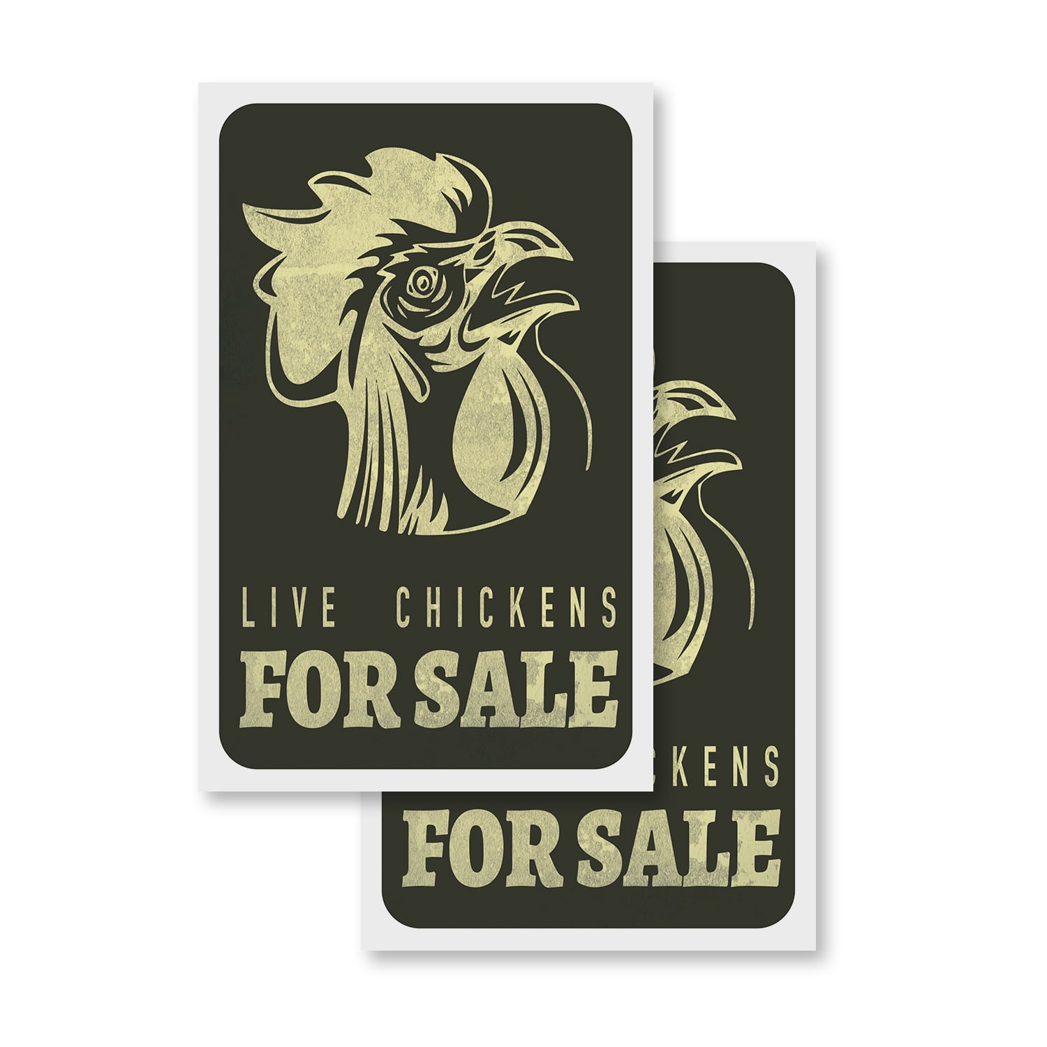 Live Chickens (2-PACK) 24" x 36" Vinyl Decals | Sign Insert Peel ...