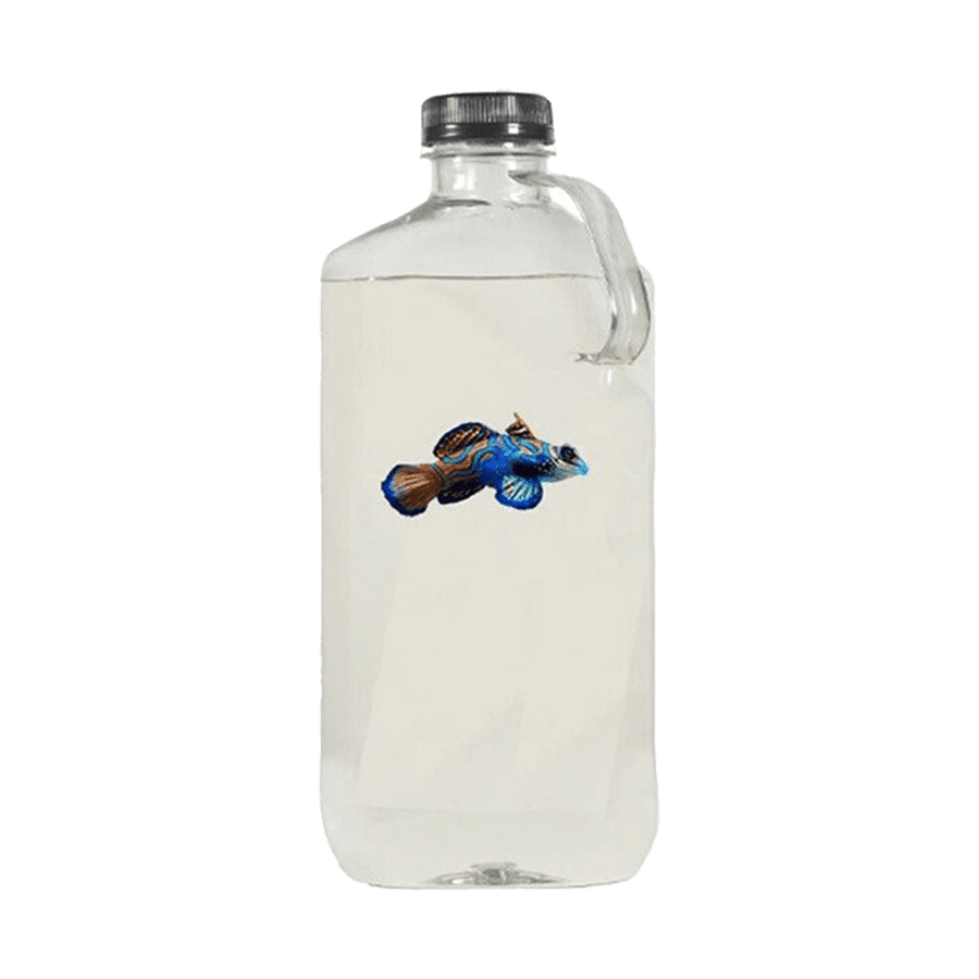 Live Copepods 5 Species (32-ounce bottle) - Fast Free Shipping ...