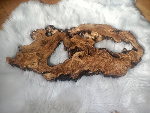 Live Edge Olive Root Slab for DIY and Epoxy Table, Ready to be Resin ...