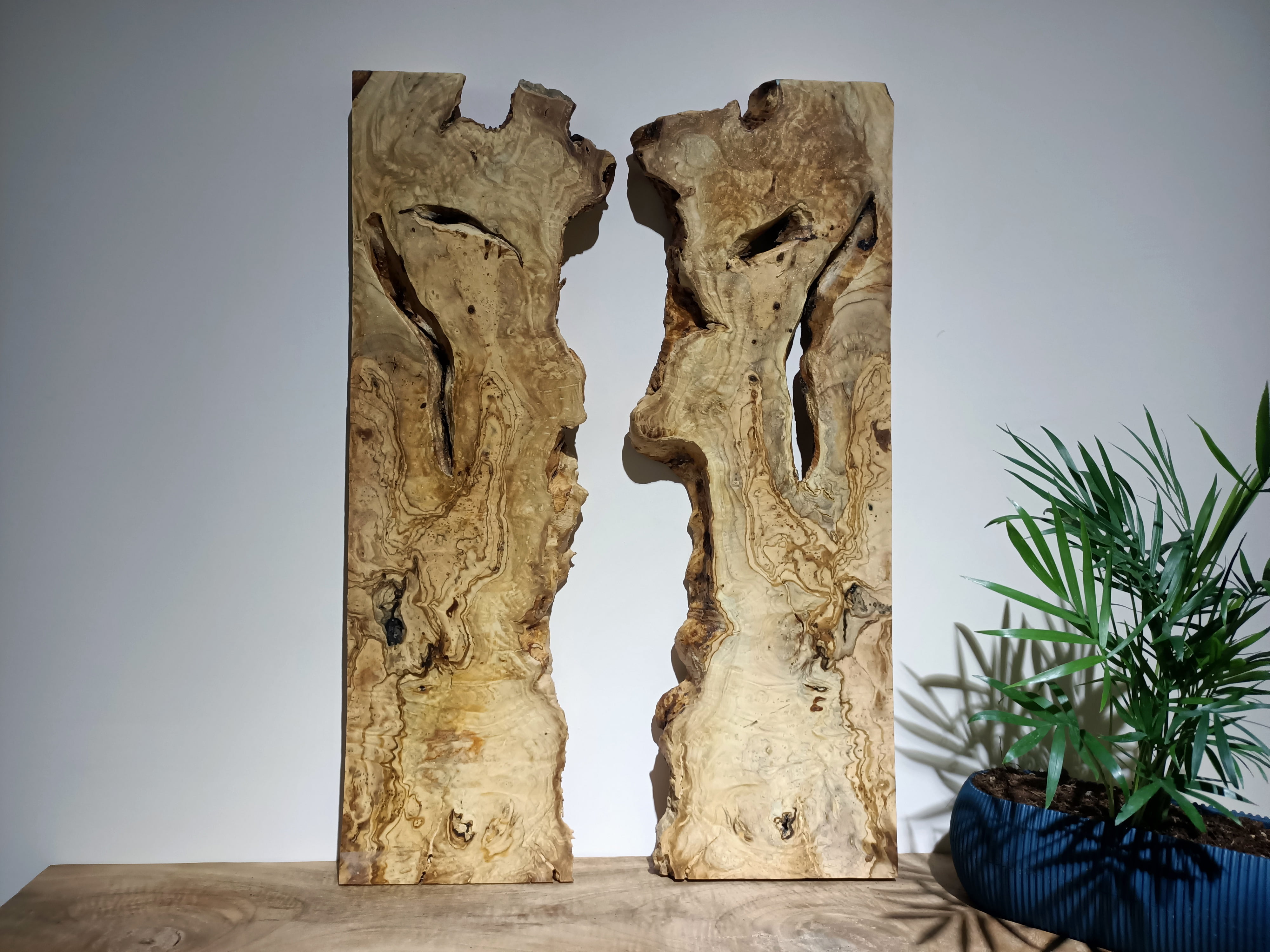 Live Edge Olive Wood Slab for DIY and Epoxy River Table, Ready to be ...