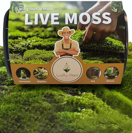 Live Moss for Reptiles - Terrarium Moss for Reptiles Peat Moss for ...
