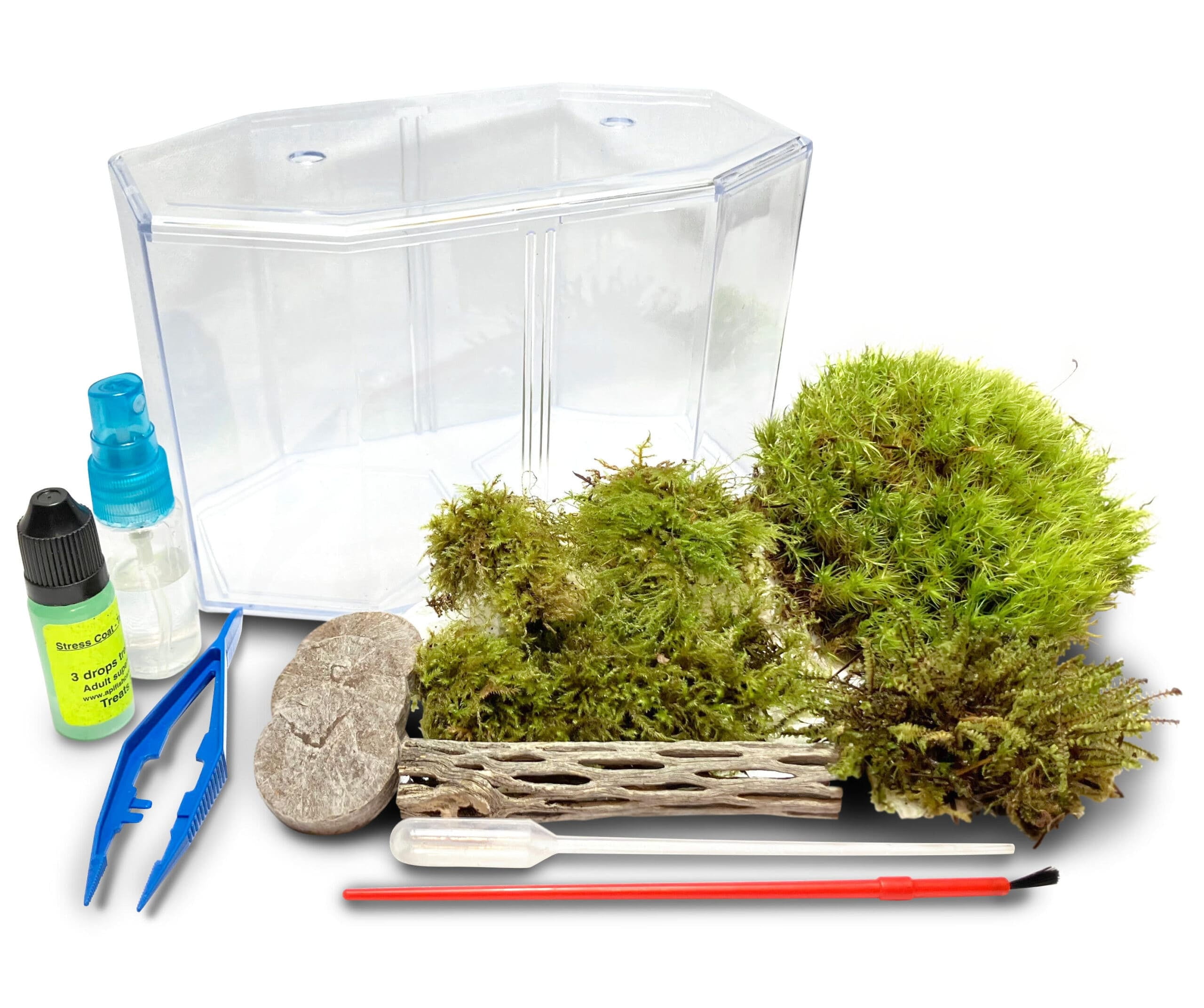 Live Moss Terrarium Kit with Supplies – Includes 3 Types of Live Moss ...