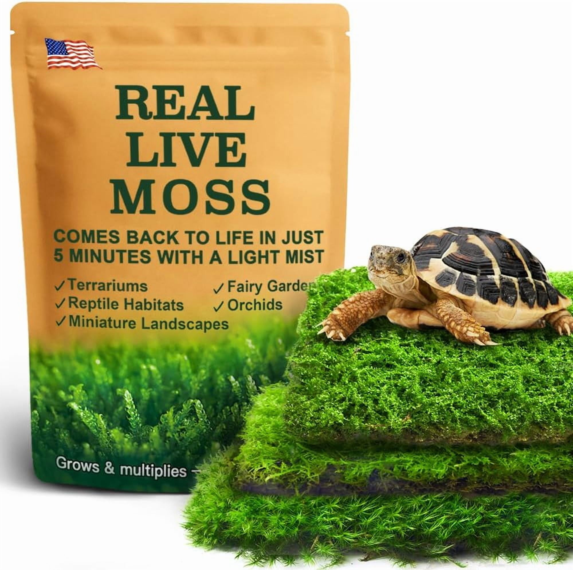 Live Moss Variety Pack for Reptiles– 3-Pack Mixed Real Terrarium Mosses ...