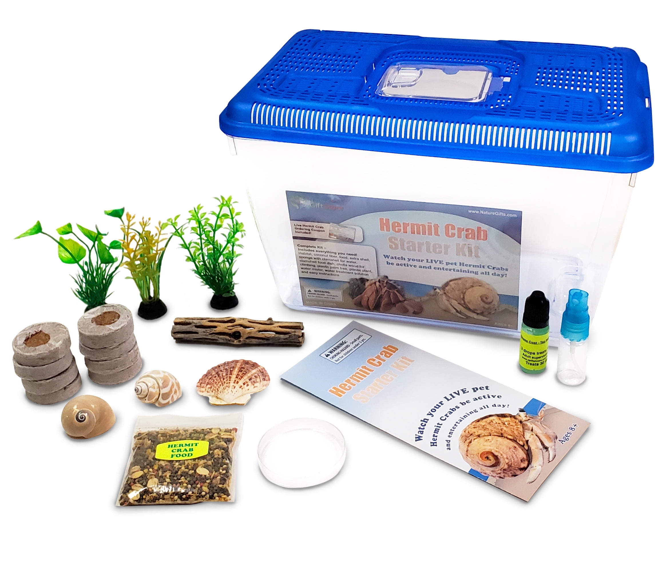 Live Hermit Crab Kit with Food, Habitat & Certificate for 2 Crabs ...