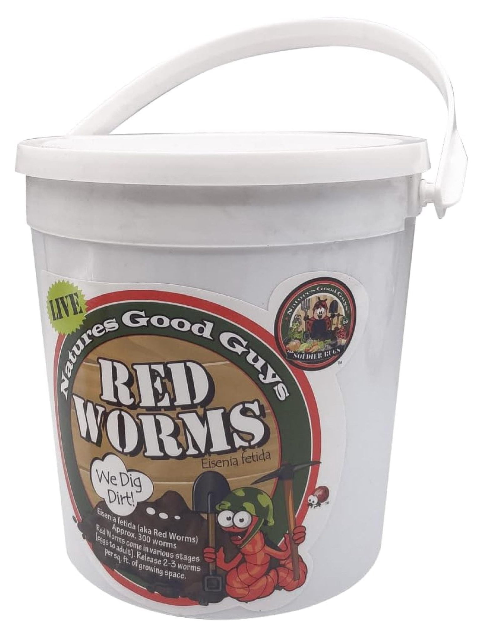 Live Red Worms - Red Wigglers (Live Red Worms - 300 Count) - Walmart.com