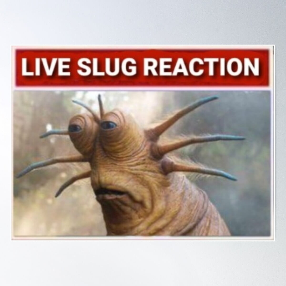 Live Slug Reaction Poster Wall Art, Modern Wall Decor For Living Room ...