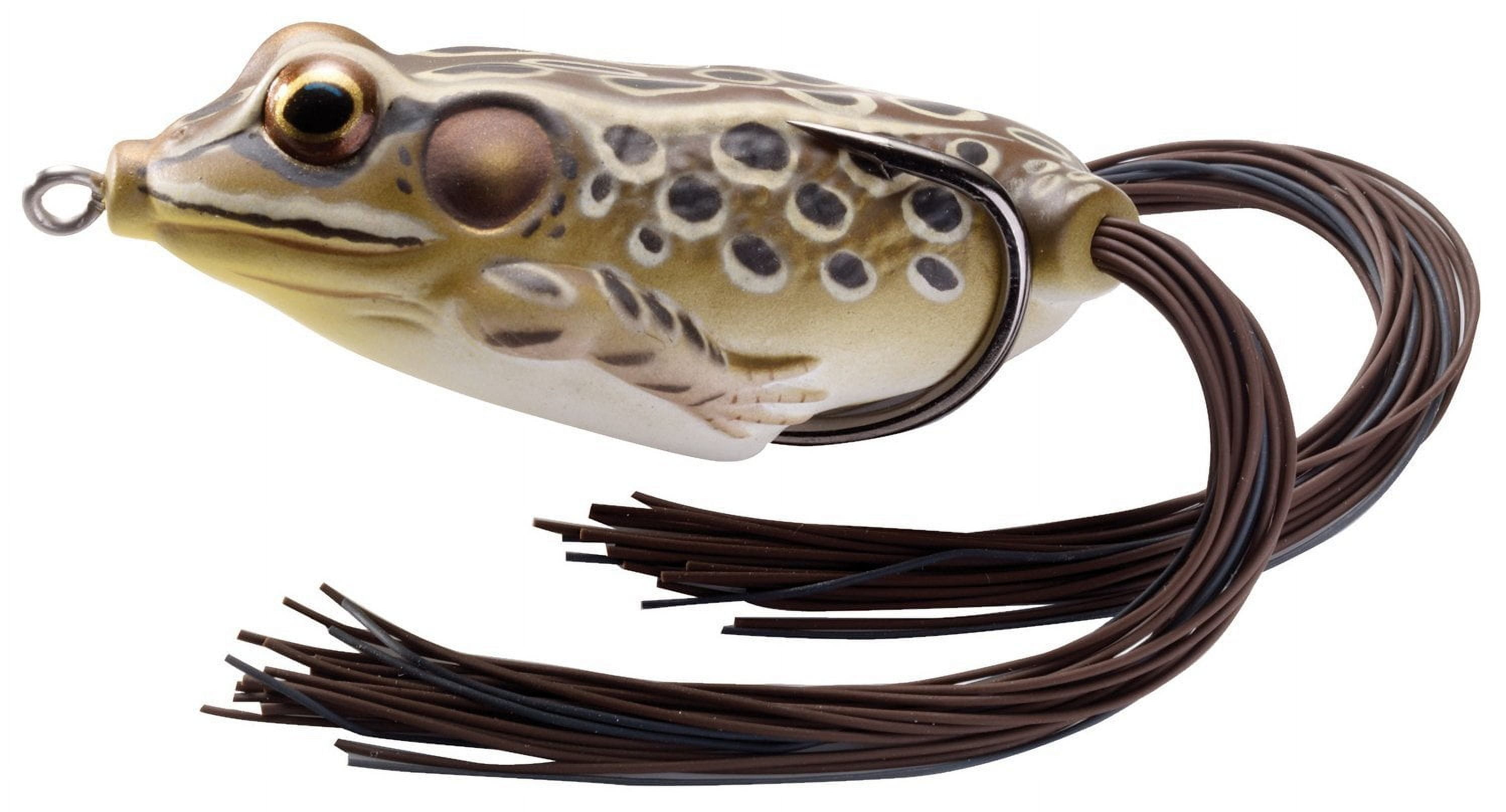 Live Target FGH55T502 Hollow Body Frog Topwater Lure, 2 1/4", 5/8 oz ...