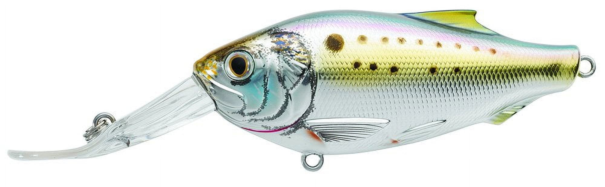 Live Target Menhaden Suspending Redfish/Bass Lure, 1 1/8oz, 4 1/2 ...