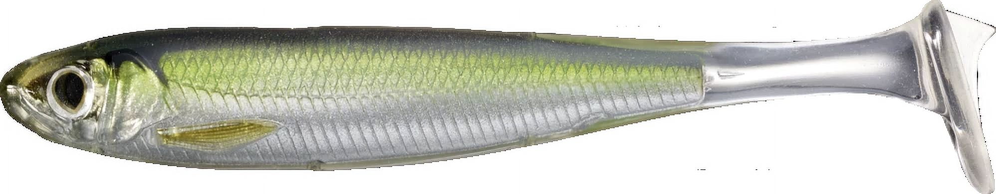 Live Target SRS125SK952 Silver/Green 5" Soft Plastic Fishing Swimbait ...