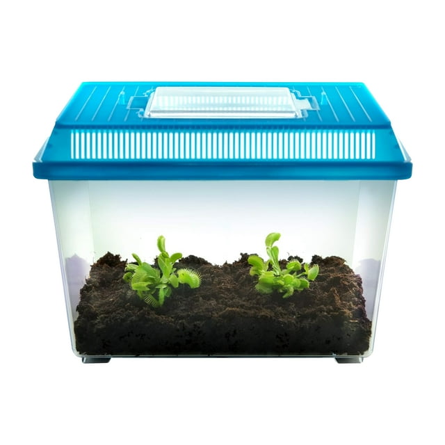 "Venus Flytrap Plant Kit in 9""x6""x6.5"" Terrarium with Sphagnum Peat ...