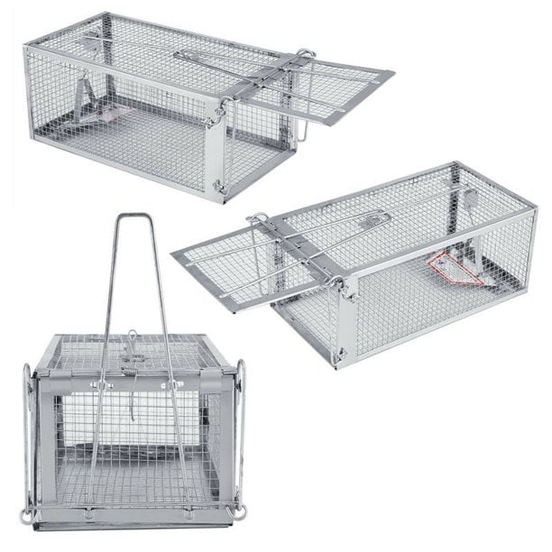 Live animal Trap for Squirrels for indoor outdoor, Small animals Traps ...