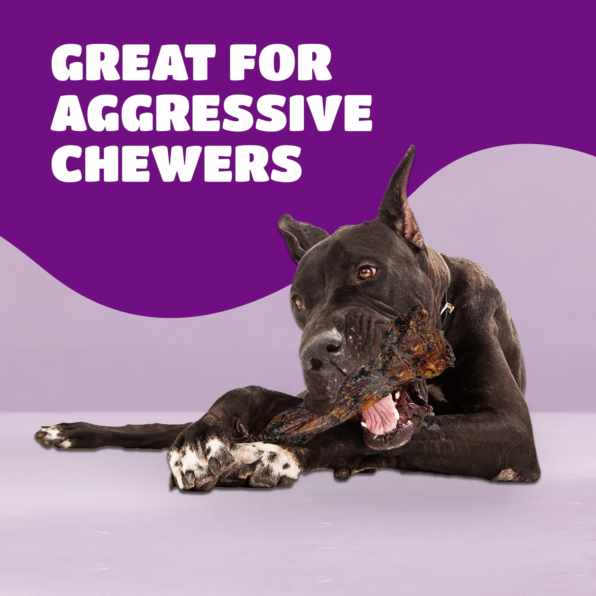 Lively Tails Liver Coated Dog Bones for H2FSDAggressive Chewers, Chew ...