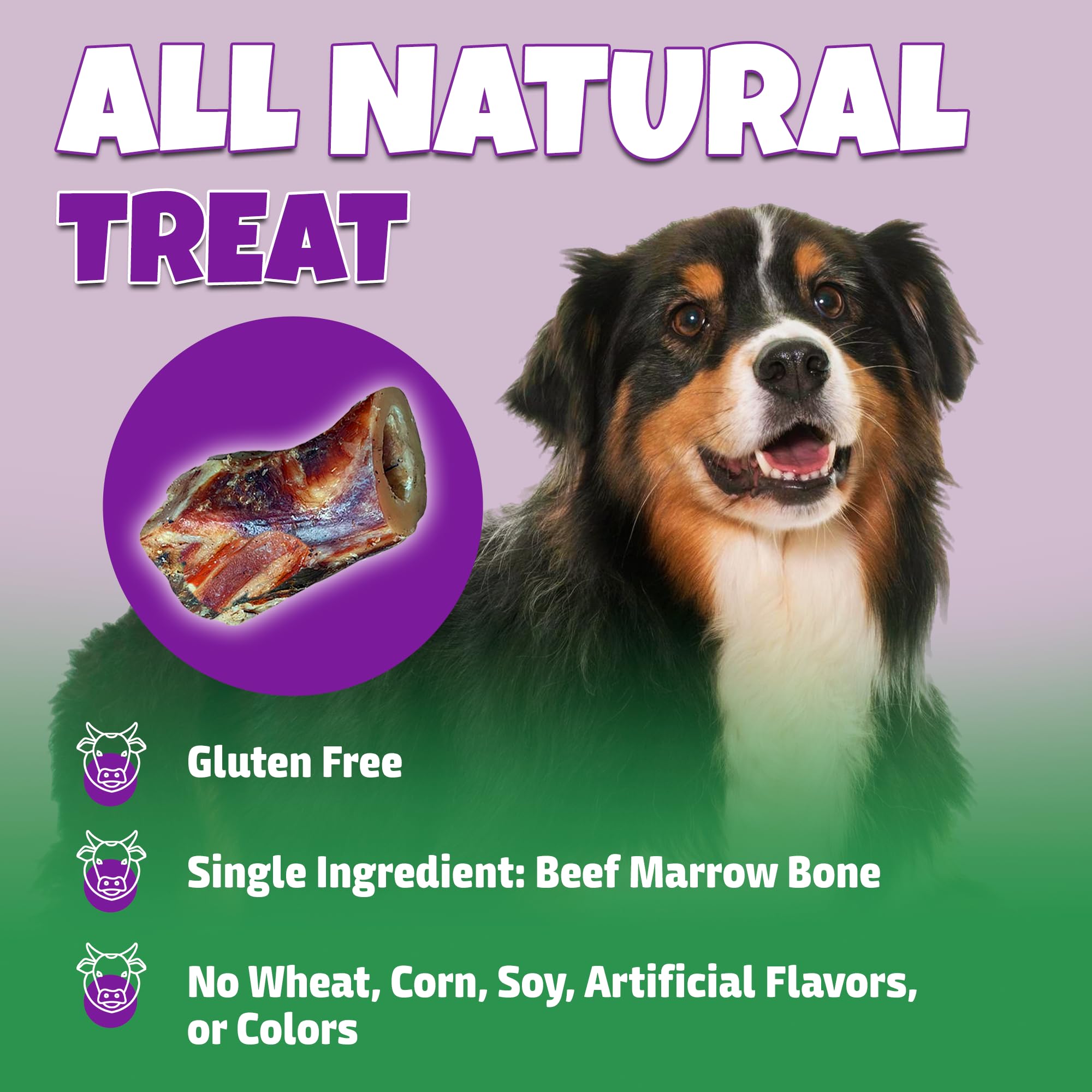 Lively Tails Marrow Bones for Dogs Large, H2FSDMedium, & Small, All ...