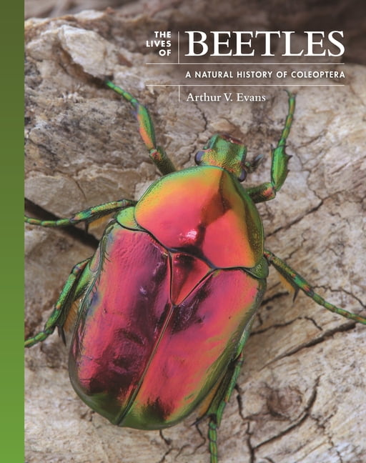 Lives of the Natural World The Lives of Beetles: A Natural History of ...