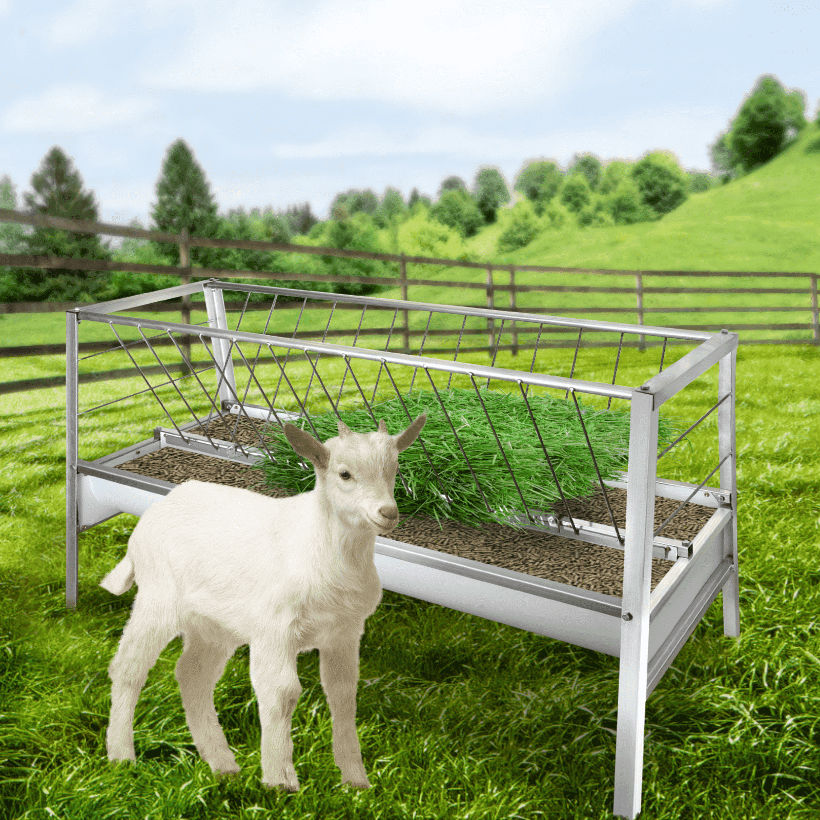 Livestock Goat Feeder, Goat Hay Feeder for Pasture, Galvanized Steel ...