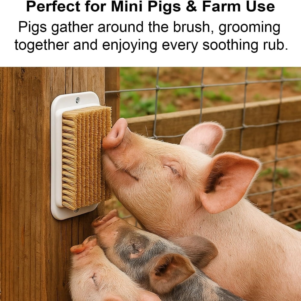 Livestock Grooming Brush for Pigs – 2 Pack Wall-Mounted Back Scratcher ...