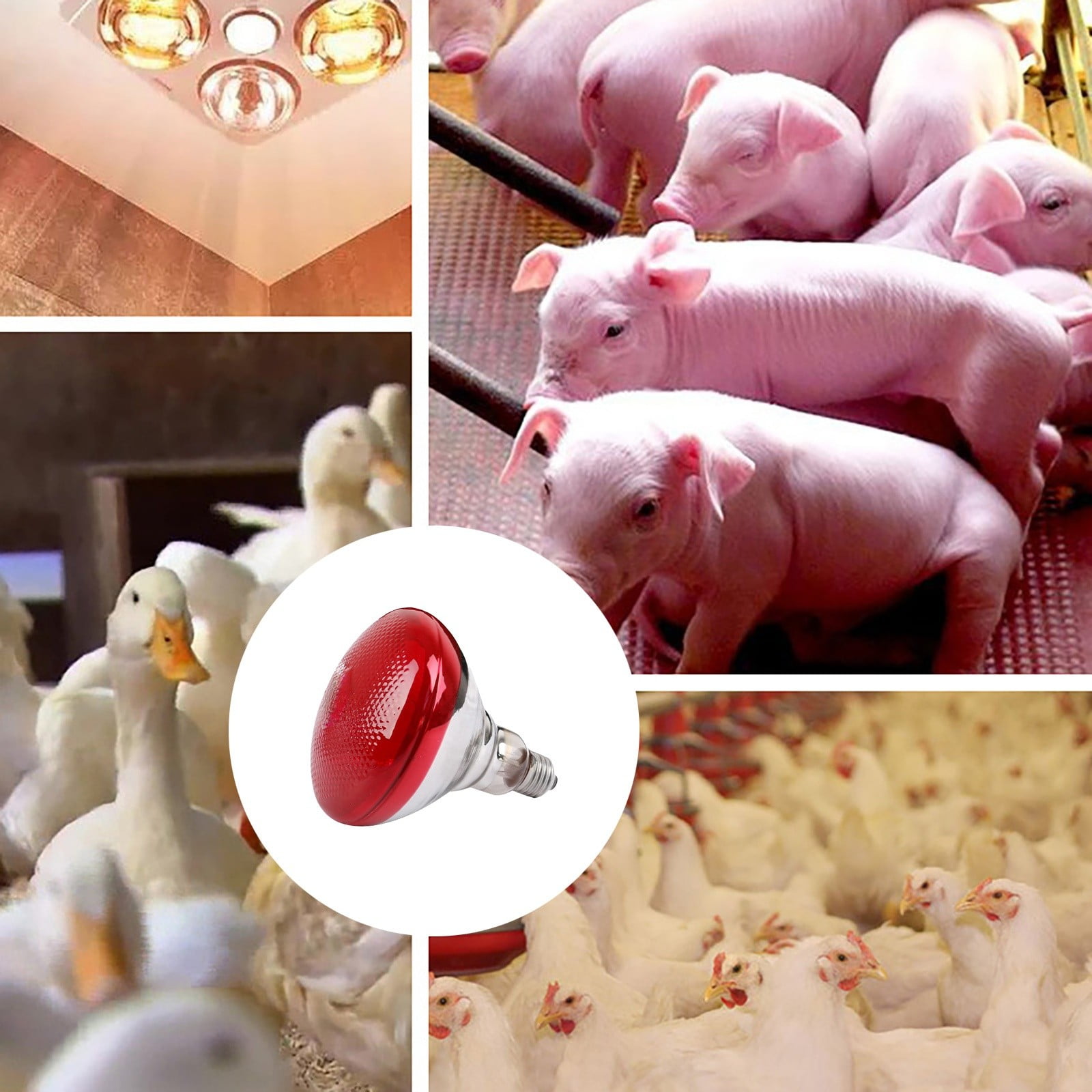 Livestock Heat Lamp Farm Animal Warming Light For Piglets/Chicks/Lambs ...