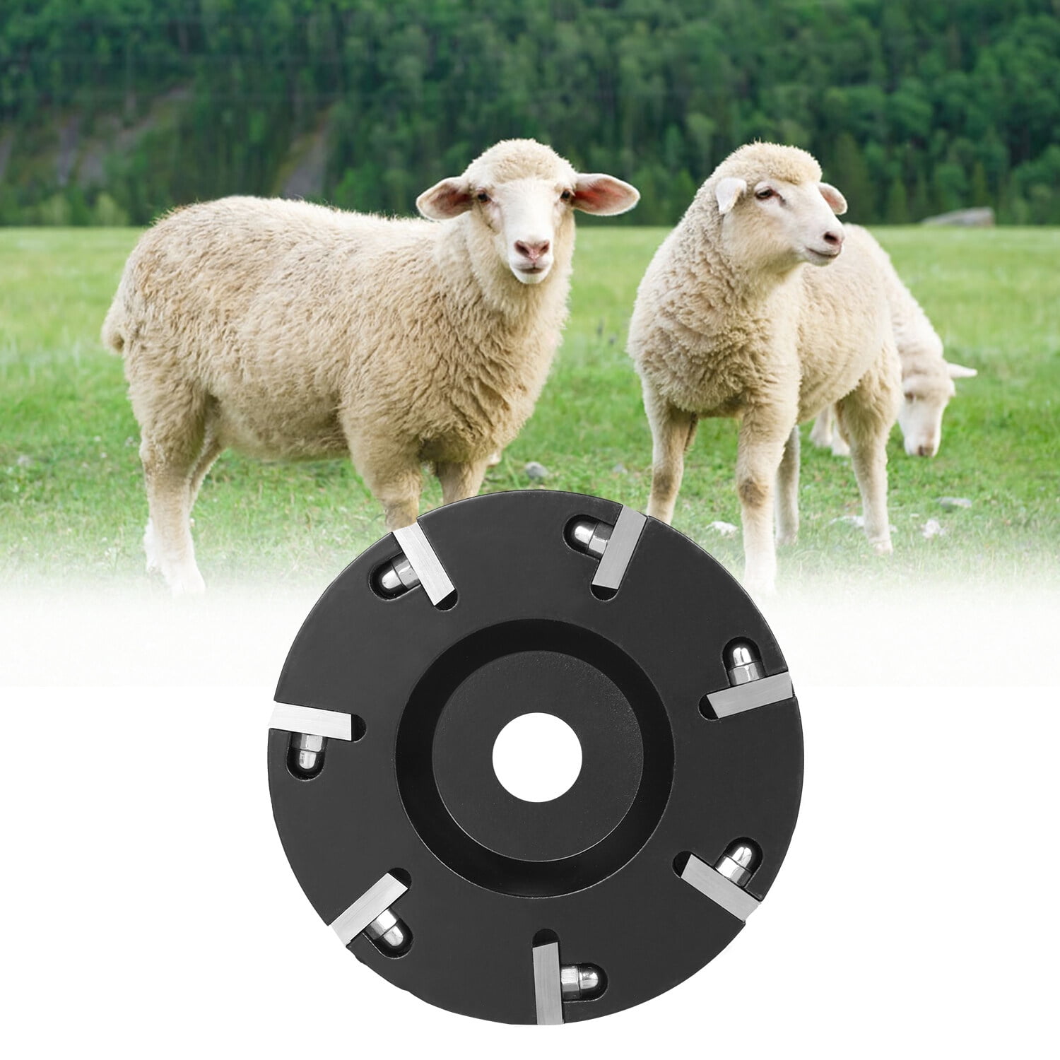 Livestock Hoof Trimming Disc Plate Discs Grinding Claws Care Tool with ...