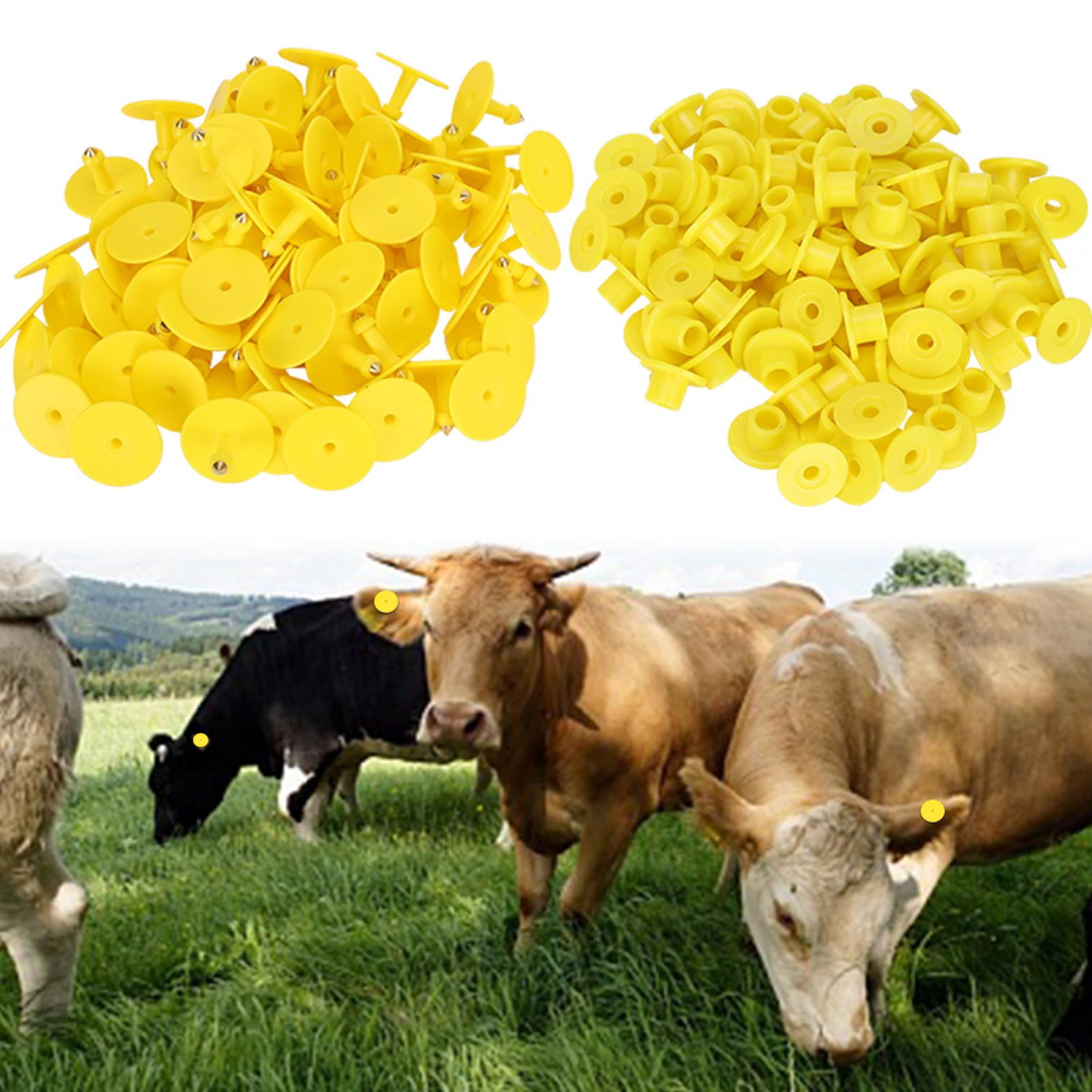 Livestock Identification, 100 Ear With Studs, Safe, For Farm Animals ...