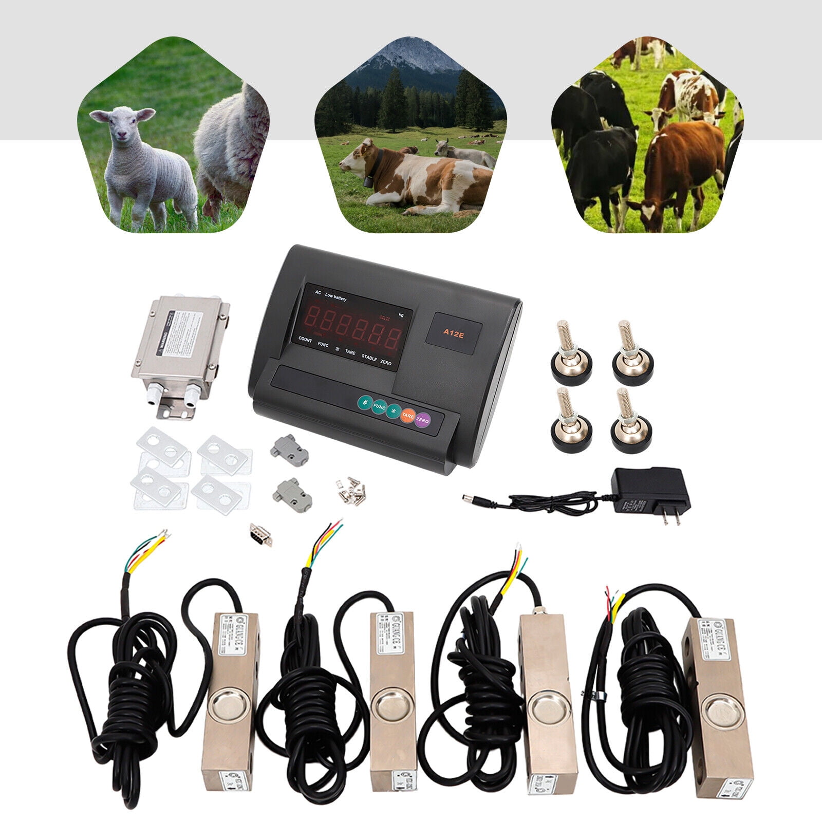 Livestock Scale Kit 5000Lbs for Cattle Hogs Sheep Goats Pigs Chutes ...