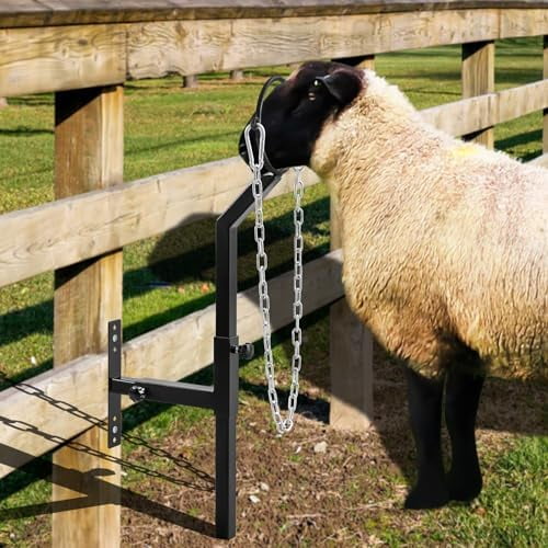 Livestock Stand Trimming Stand 5.9inch Length Adjust, Livestock Stand ...