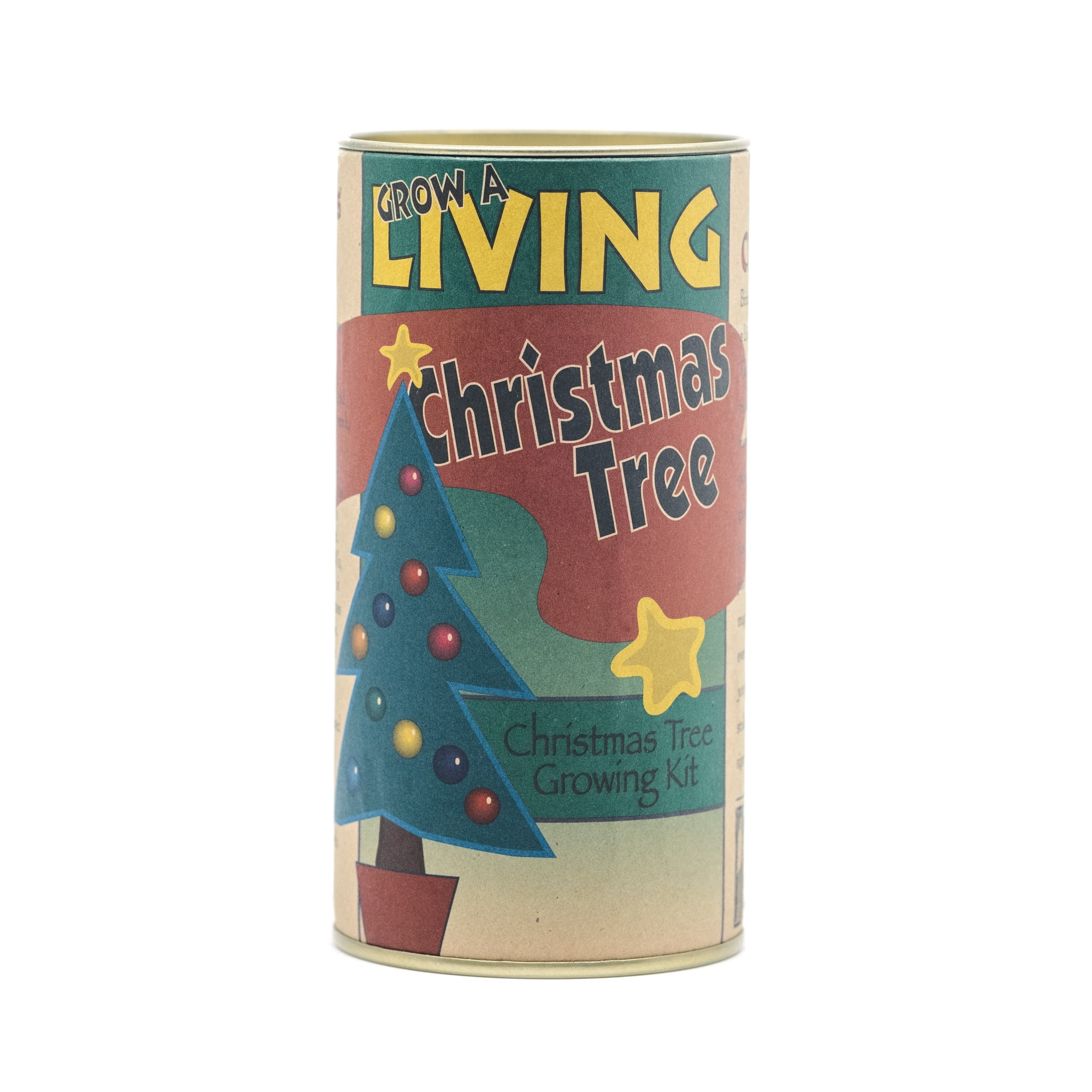 The Jonsteen Company Easy Indoor Seedling Living Christmas Tree Grow ...
