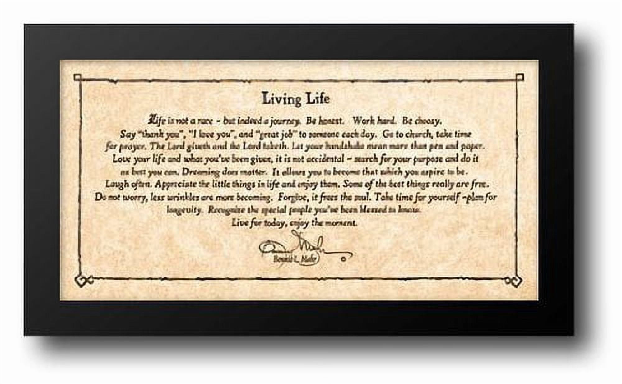 Living Life 28x16 Framed Art Print by Mohr, Bonnie - Walmart.com