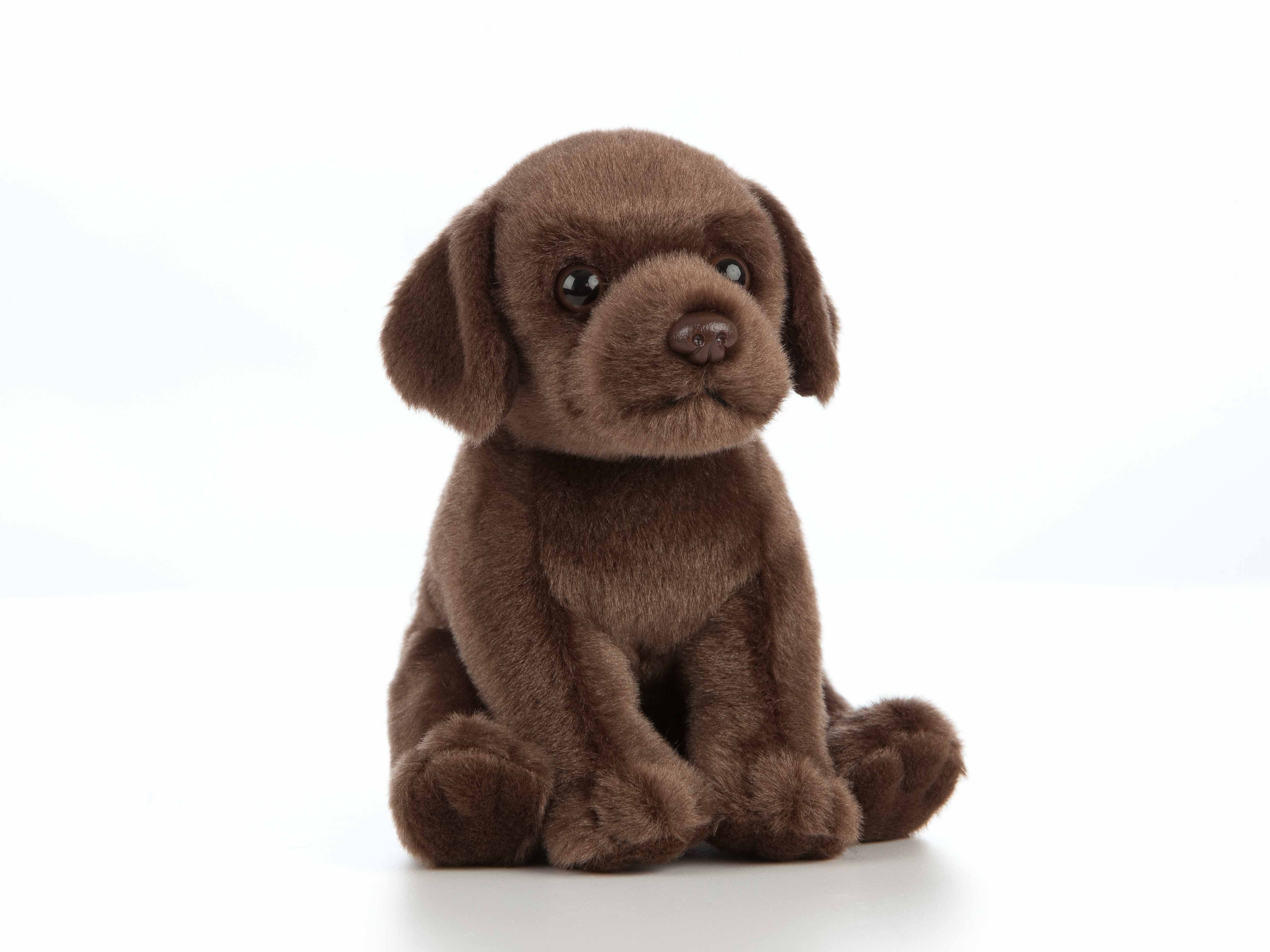 Living Nature 6" Plush Chocolate Labrador Puppy Plush Animal - Walmart.com